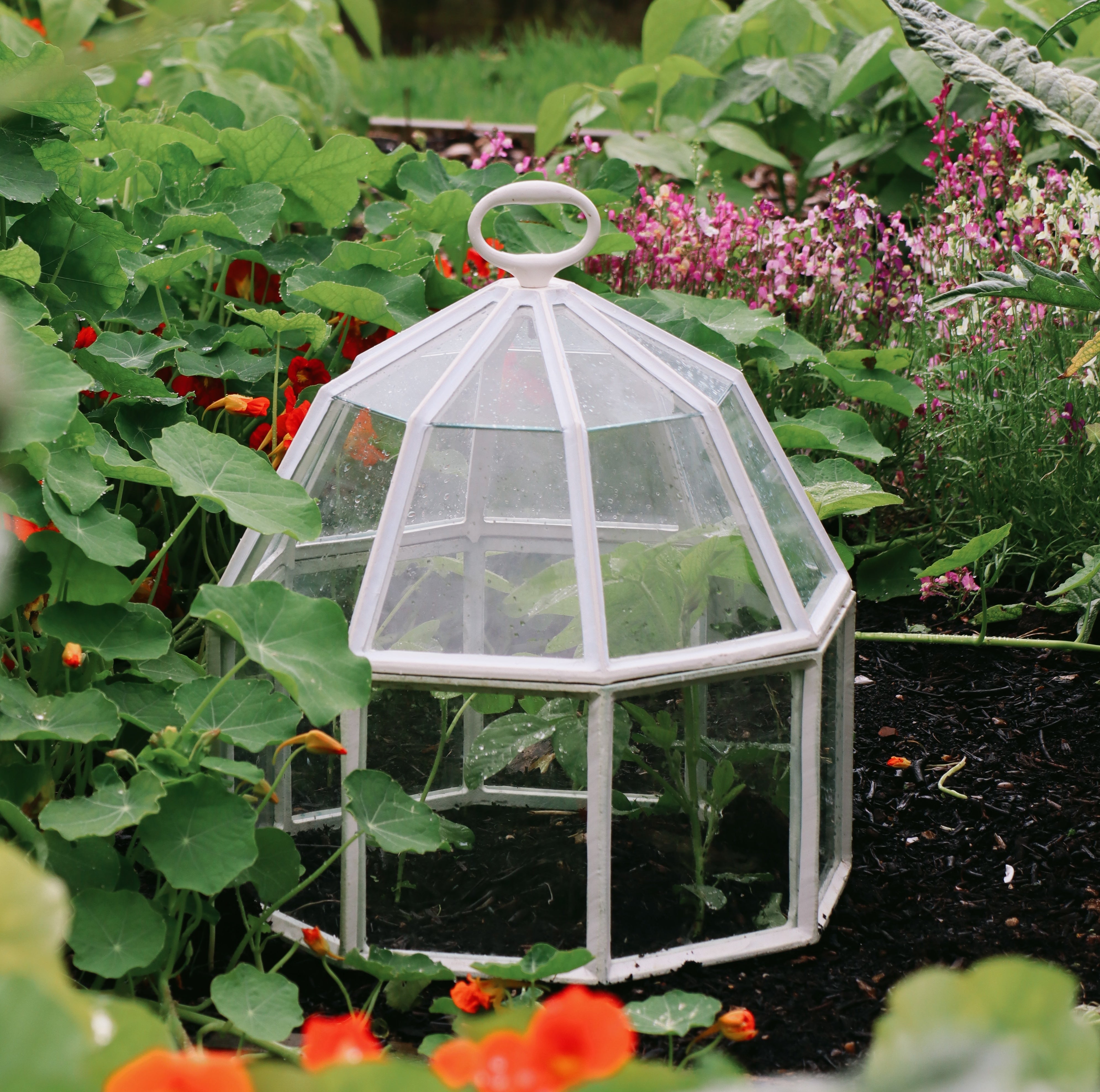 Claverton Cloches