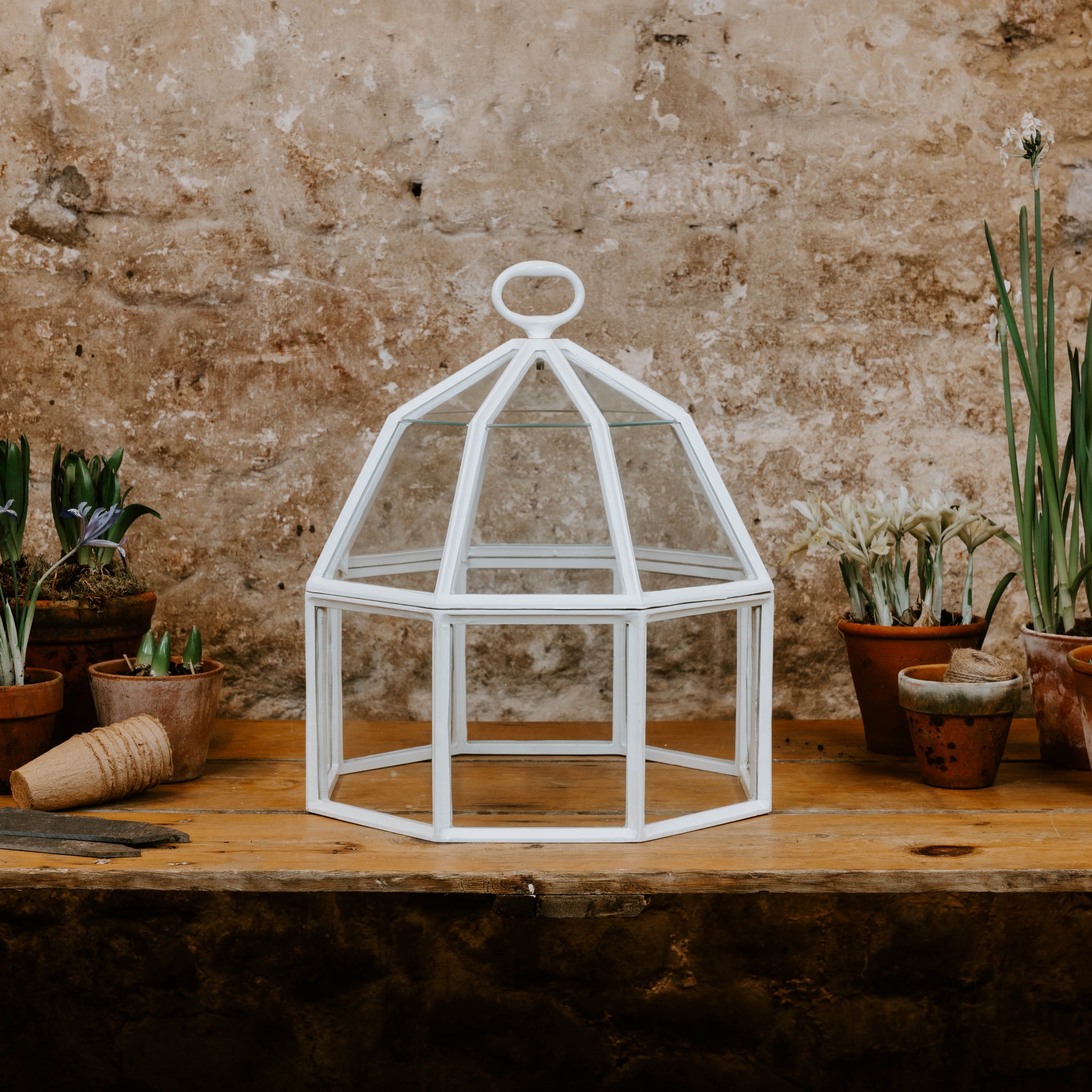Victorian Octagonal Cloche – Claverton Cloches