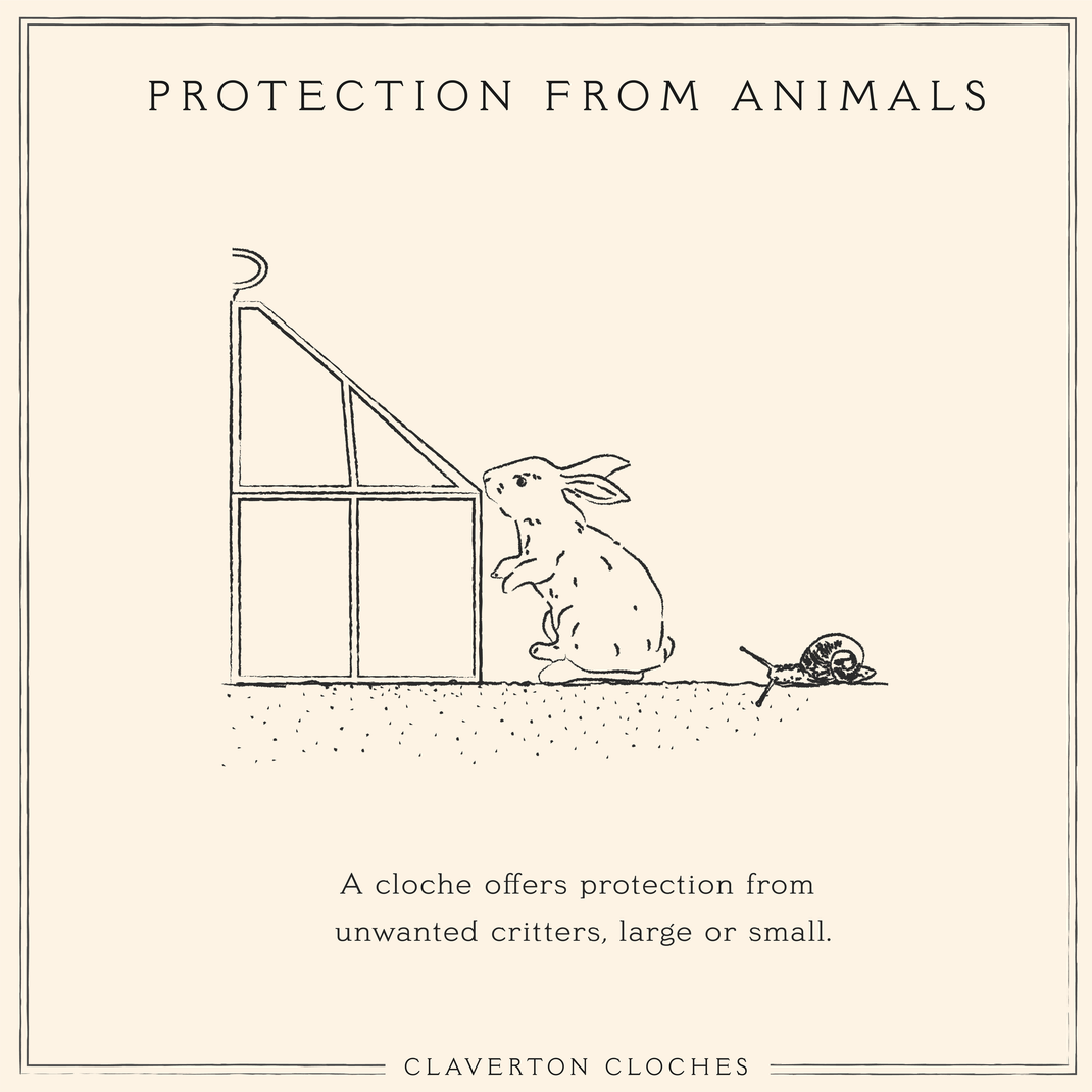 Protection from Animals – Claverton Cloches